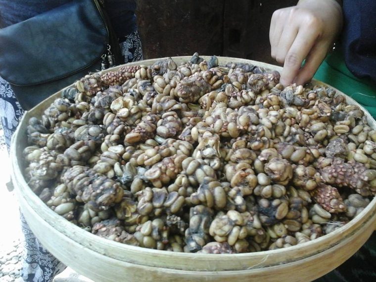 15 Bizarre Foods You Shouldn’t Miss In Southeast Asia - What Makes Her ...